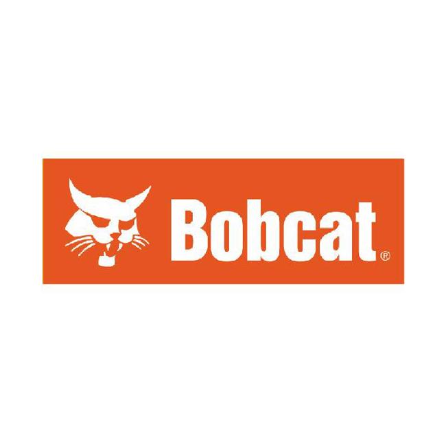 Light Up Wall Sign - Bobcat