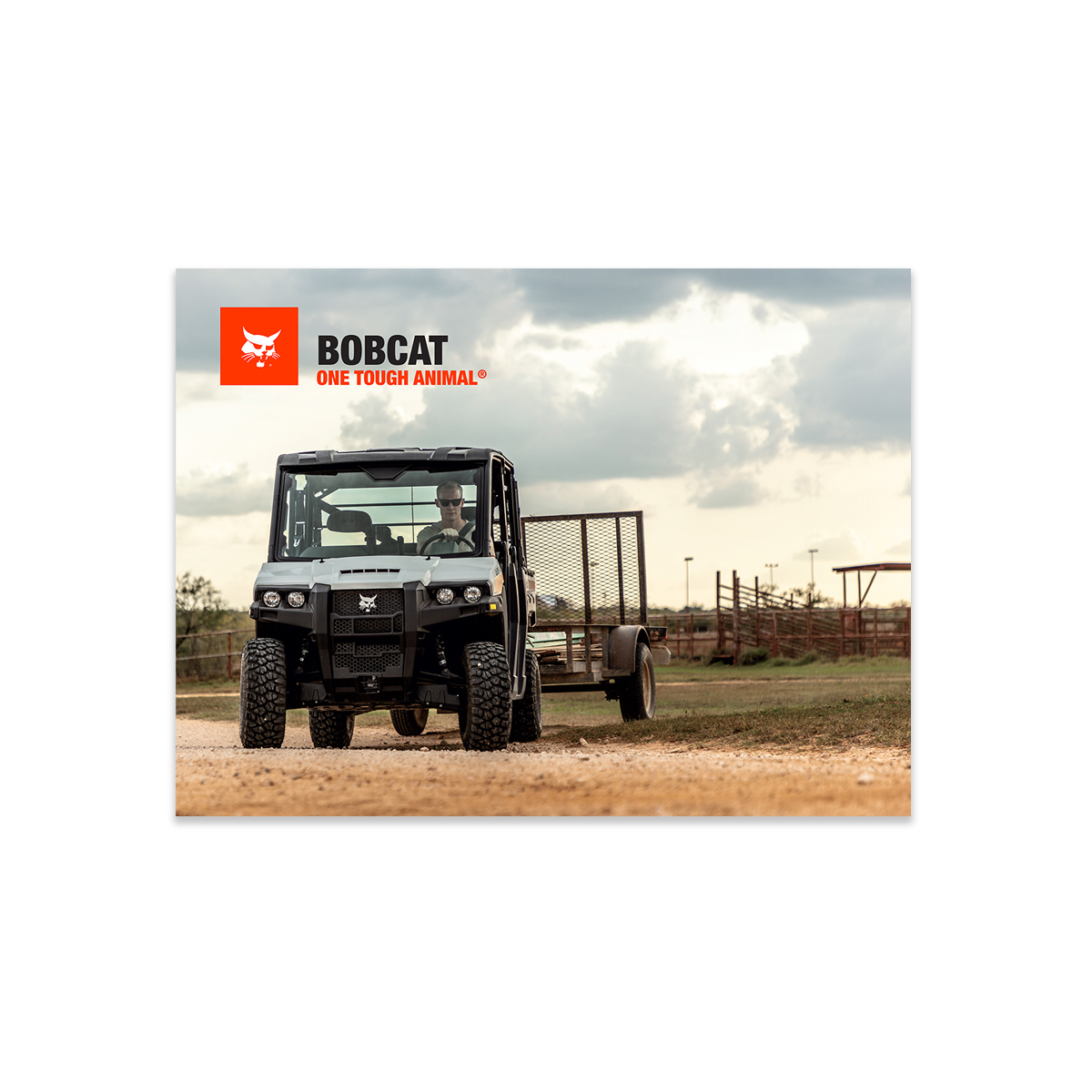 4x3 BANNER - GME3 - Bobcat